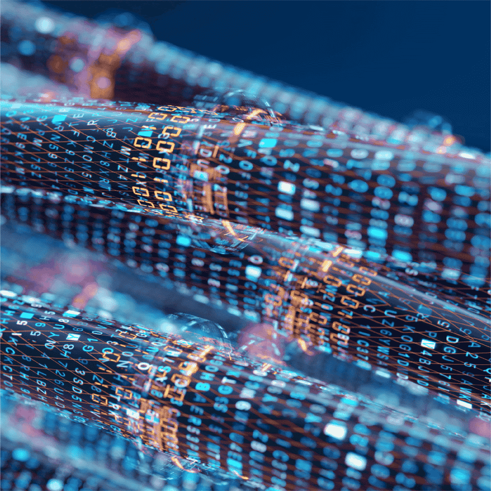 Copper Patch Panel - Canovate